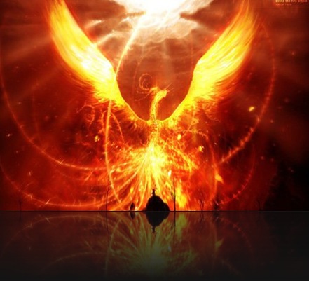 A Cougars Muse: Phoenix Rising